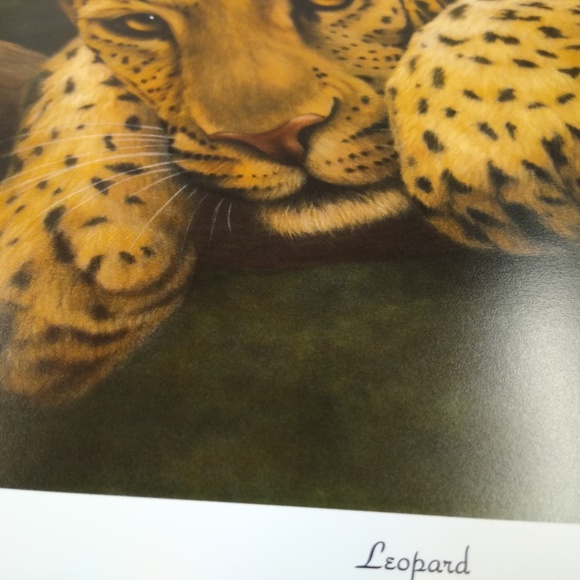 Harold Rigsby | Wall Decor | Leopard By Harold Rigsby 2150 Signed ...